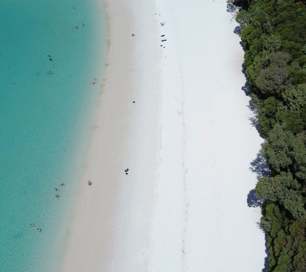 Whitehaven Beach #1 Complete Guide | ZigZag Whitsundays